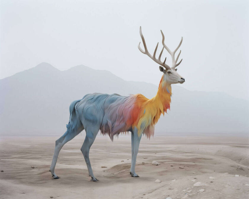 Jim Naughten: Biophilia reconnecting with nature photography