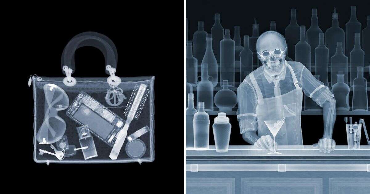 Revealing hidden details: the fascinating X-ray photography of Nick Veasey — Visualflood Magazine