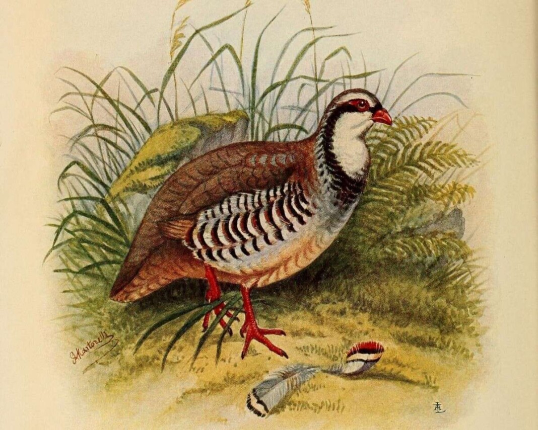 Biodiversity Heritage Library: 150,000 botanical and animal ...