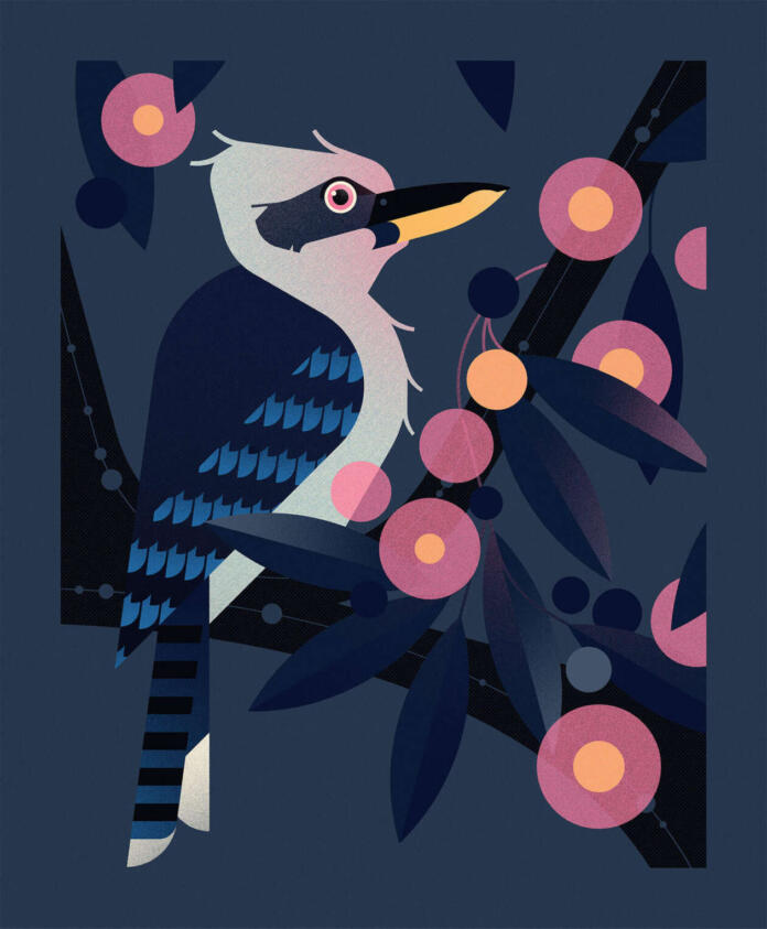 Emma Clinton: geometric and organic nature illustrations