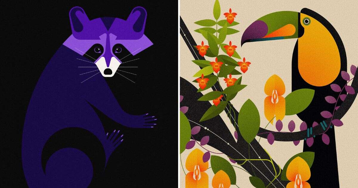 Emma Clinton: geometric and organic nature illustrations