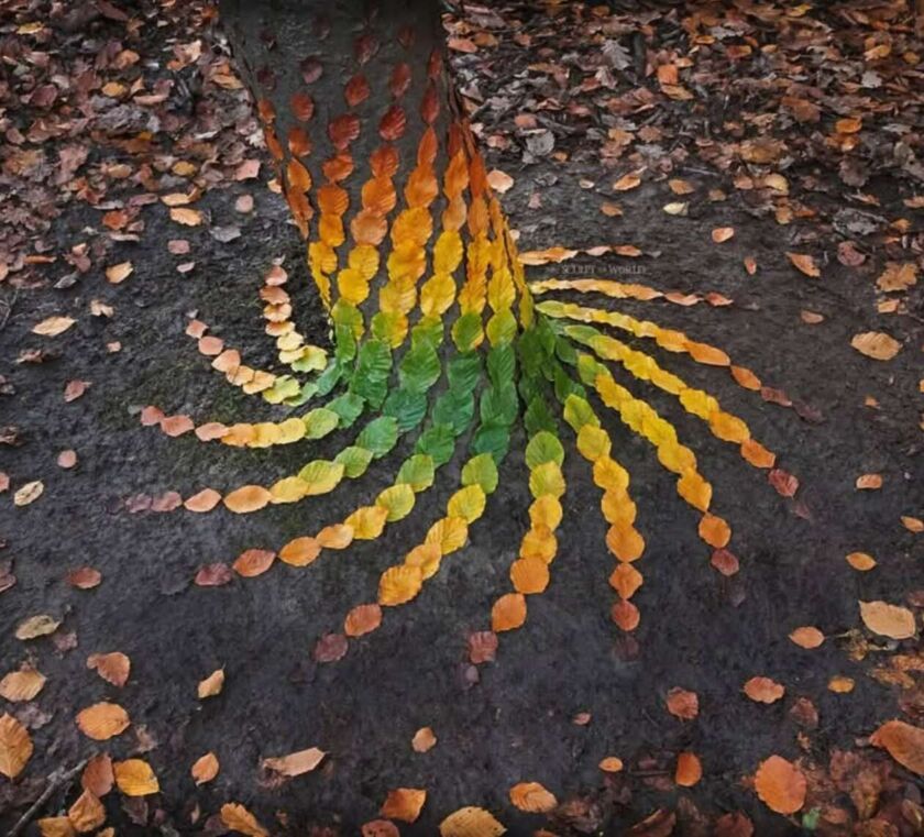 Jon Foreman’s hypnotic and meditative land art celebrates nature’s ...