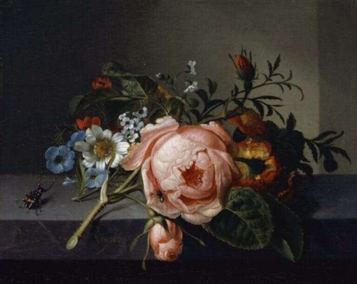 Rachel Ruysch: Dutch golden age floral still-life paintings