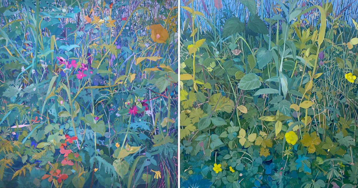 Conrad P Clarke: Rooted in Resilience botanical paintings