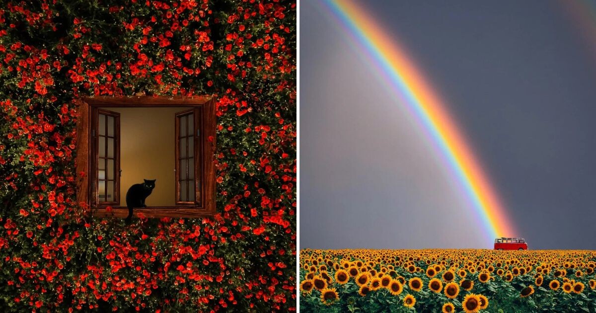 Benjamin Wolf: serene minimalist poetic everyday photography